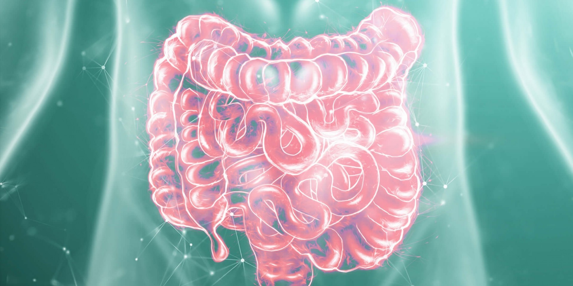 Leaky Gut: Symptoms And Treatment - Part 3 | SoulAdvisor