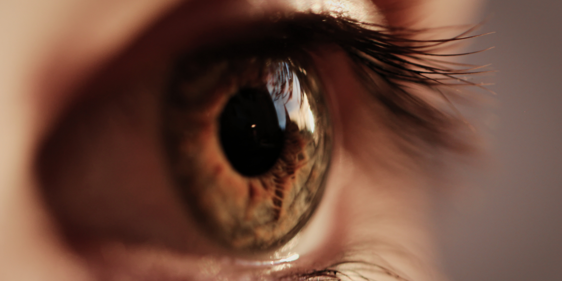 How to Understand the EMDR Therapy Process | SoulAdvisor